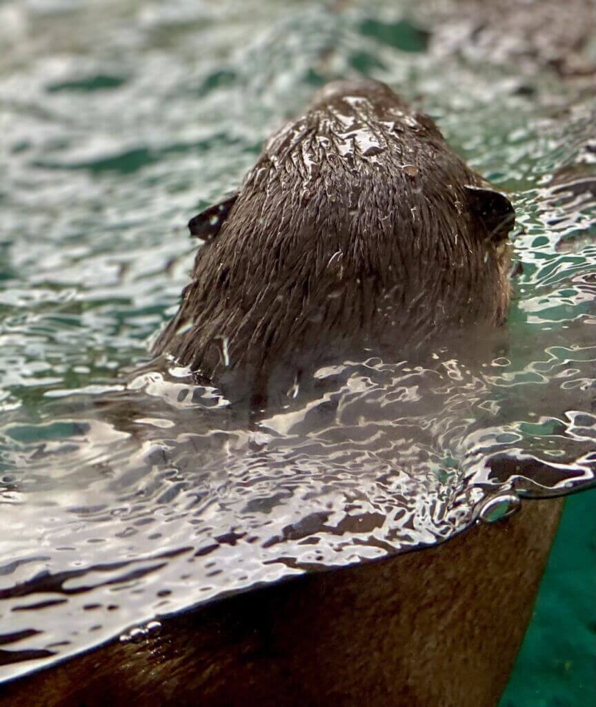 Attractions - Longboat Key Chamber of Commerce