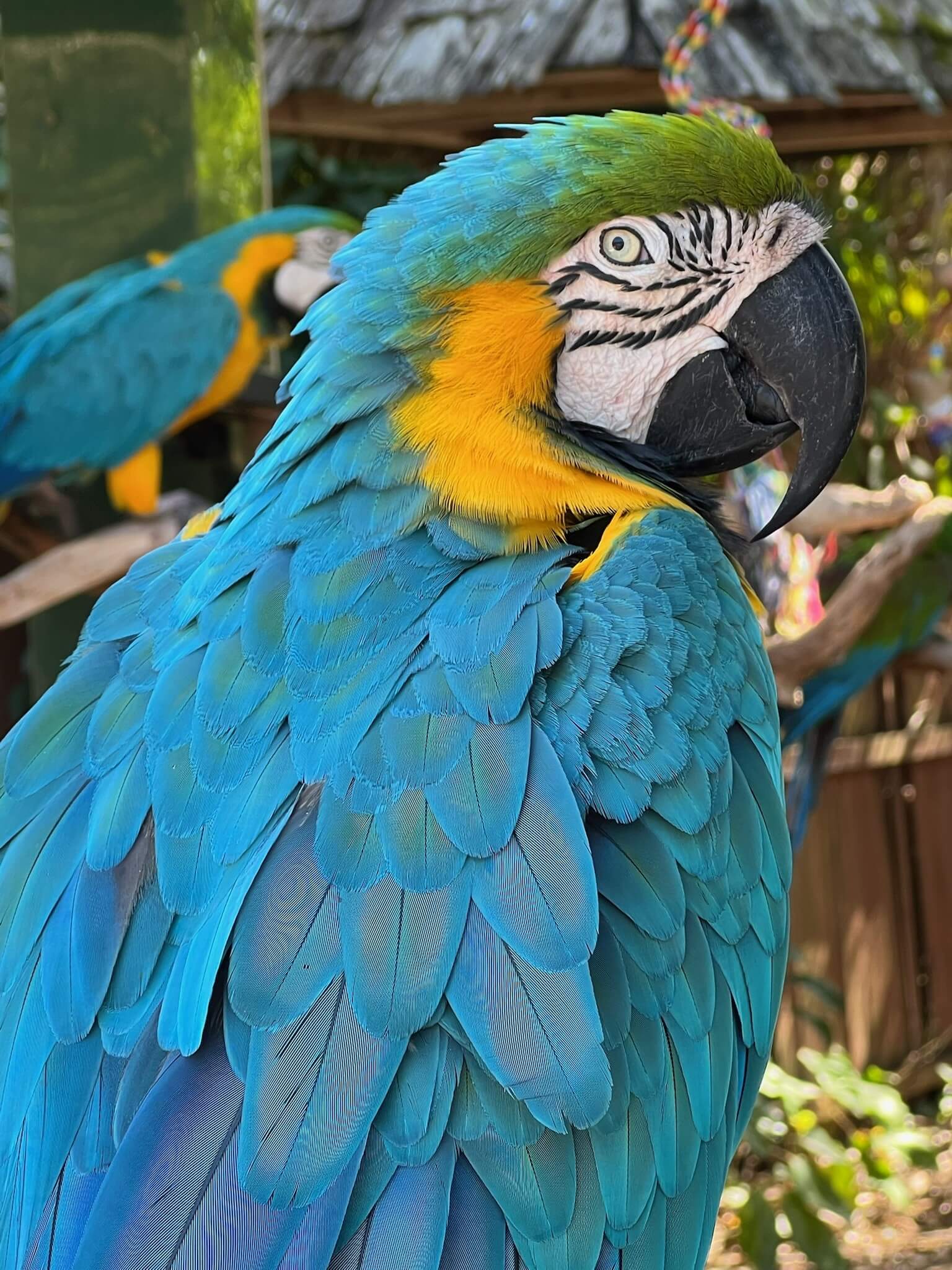 Attractions - Longboat Key Chamber of Commerce