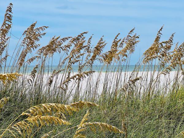 Longboat Key - Longboat Key Chamber of Commerce